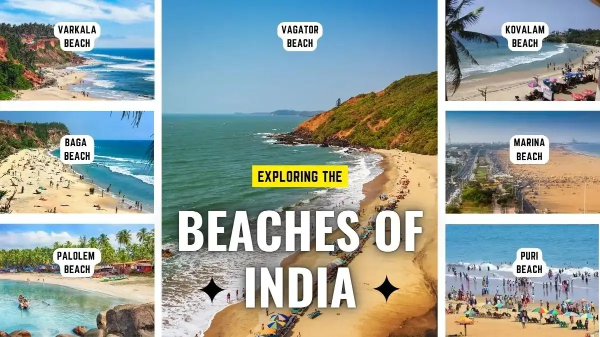 Best Beaches in India for Foreign Tourists